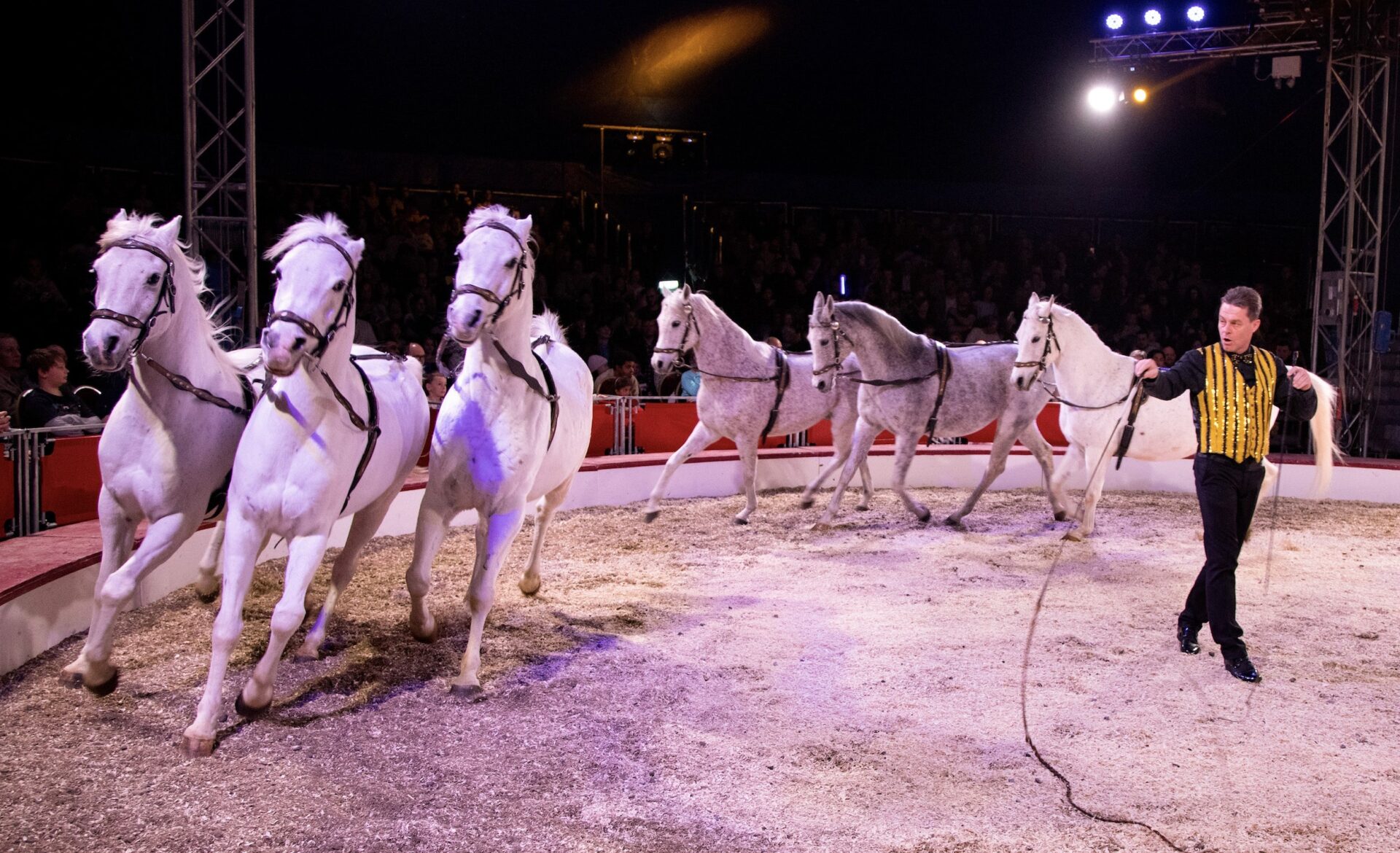 Cirkus Arena er i topform med fuldendt cirkusmagi - Iscene